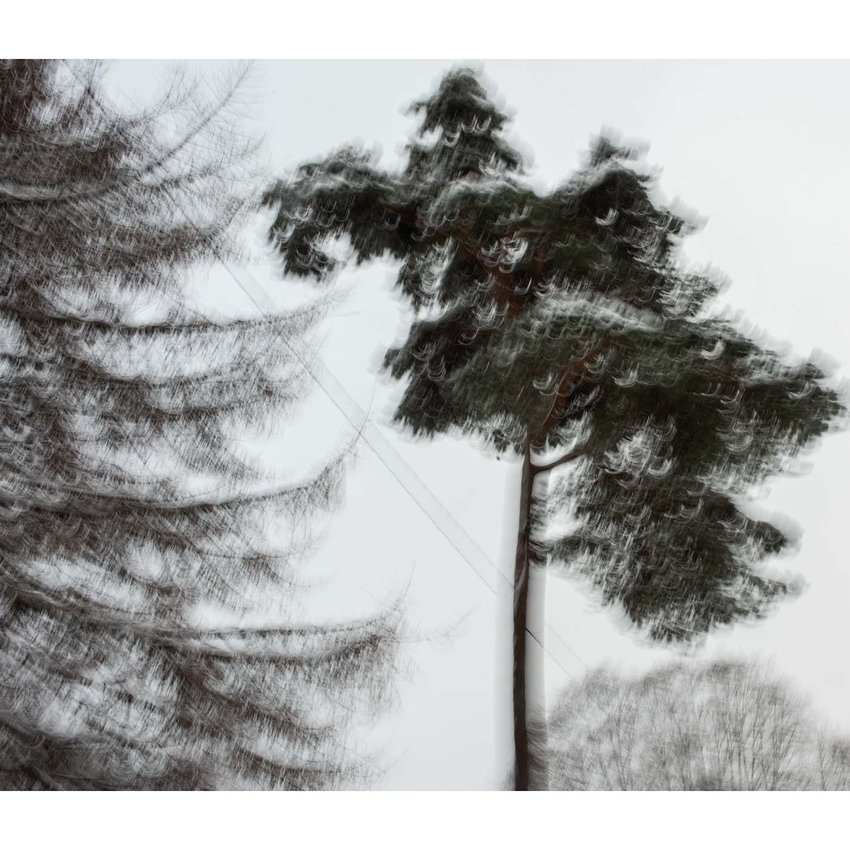 Fine Art -valokuvatuloste, A2 - Maite González Laurens – Aalto ...